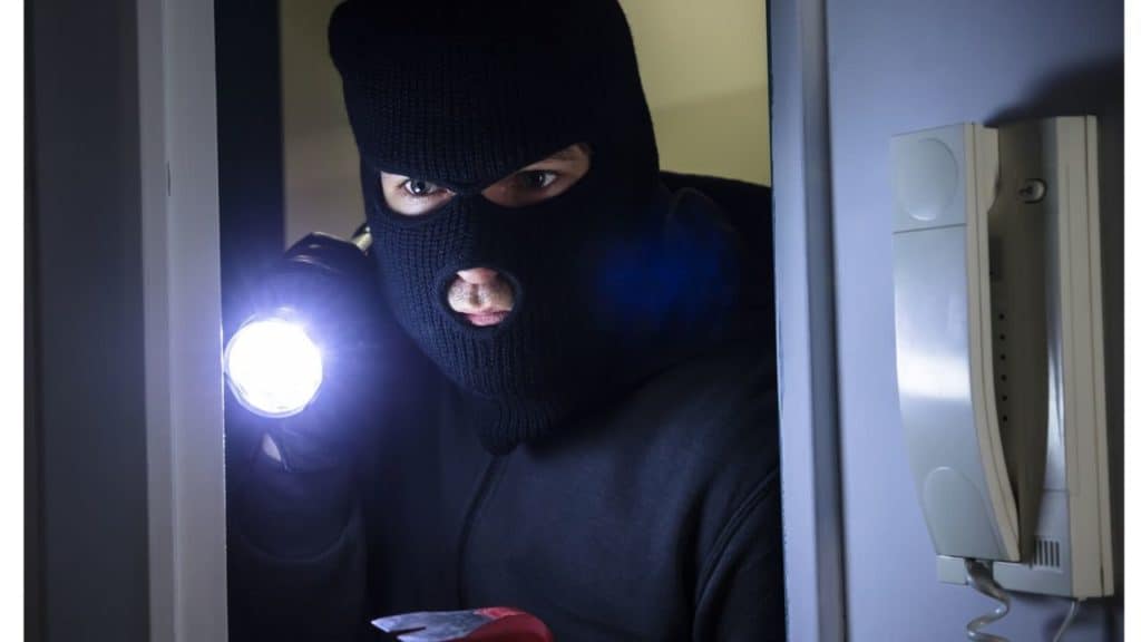7 Things Professional Burglars Don't Want You To Know ~ Jennifer King ...